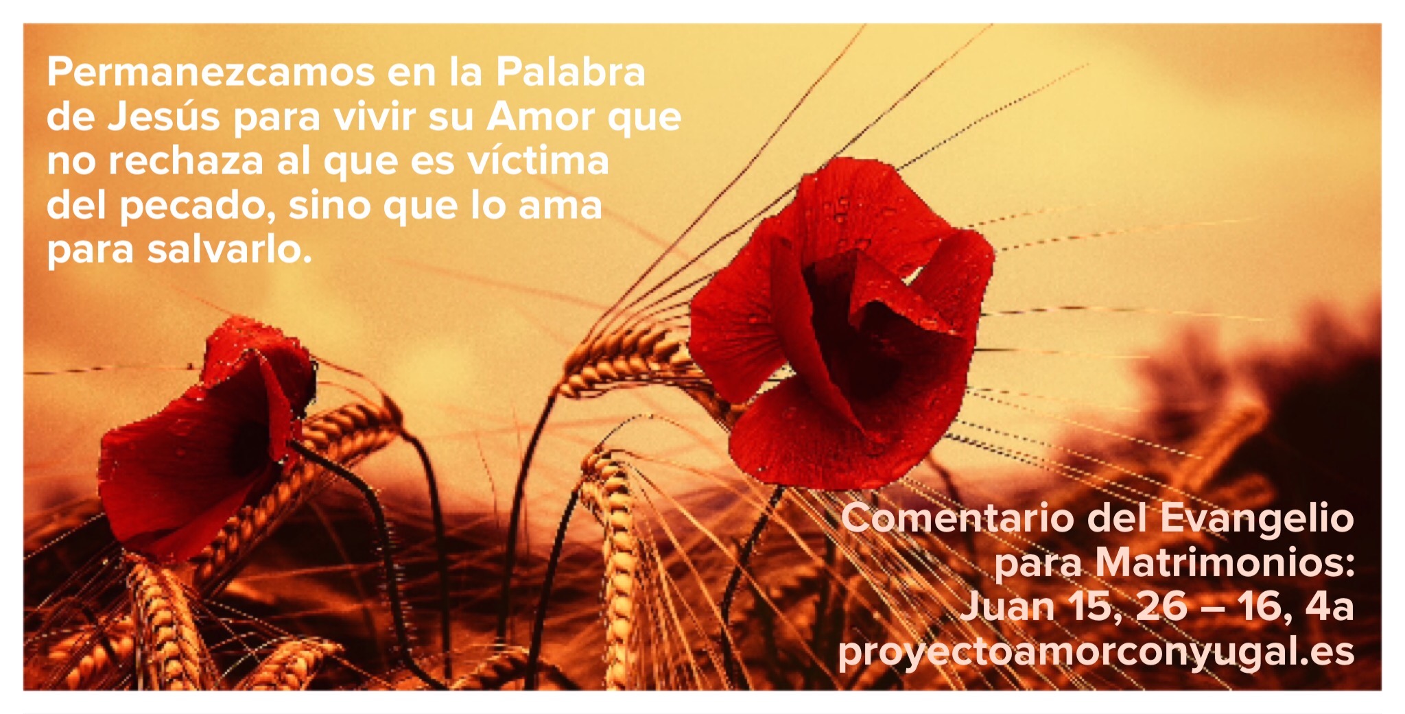 Se respiraba el Espíritu de la Verdad. Comentario del Evangelio para ...