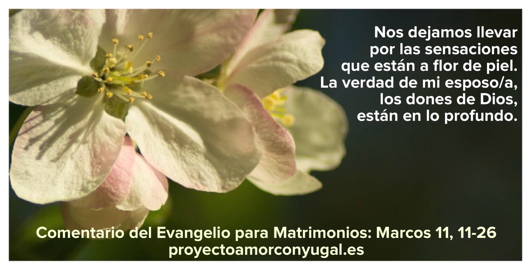 Sin cáscara me gustas más. Comentario del Evangelio para Matrimonios ...